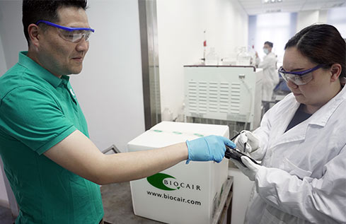 Global logistics | Biocair