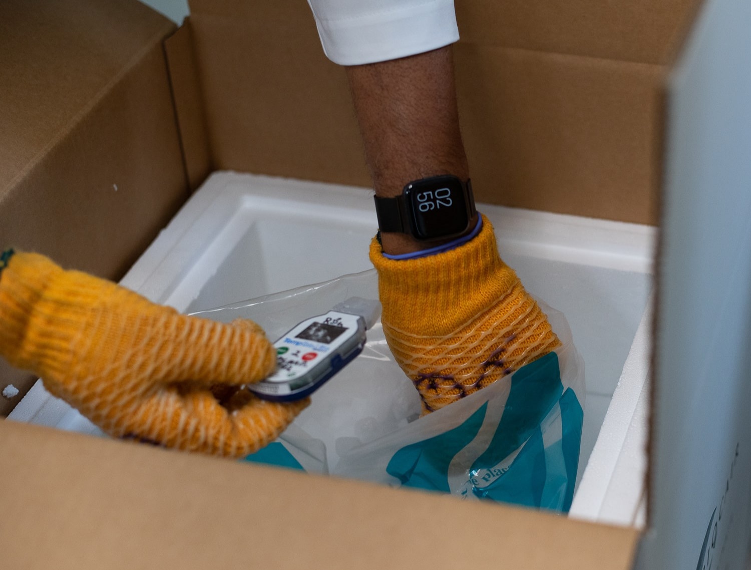 Temperature-Controlled Packaging for Life Sciences Logistics | Biocair