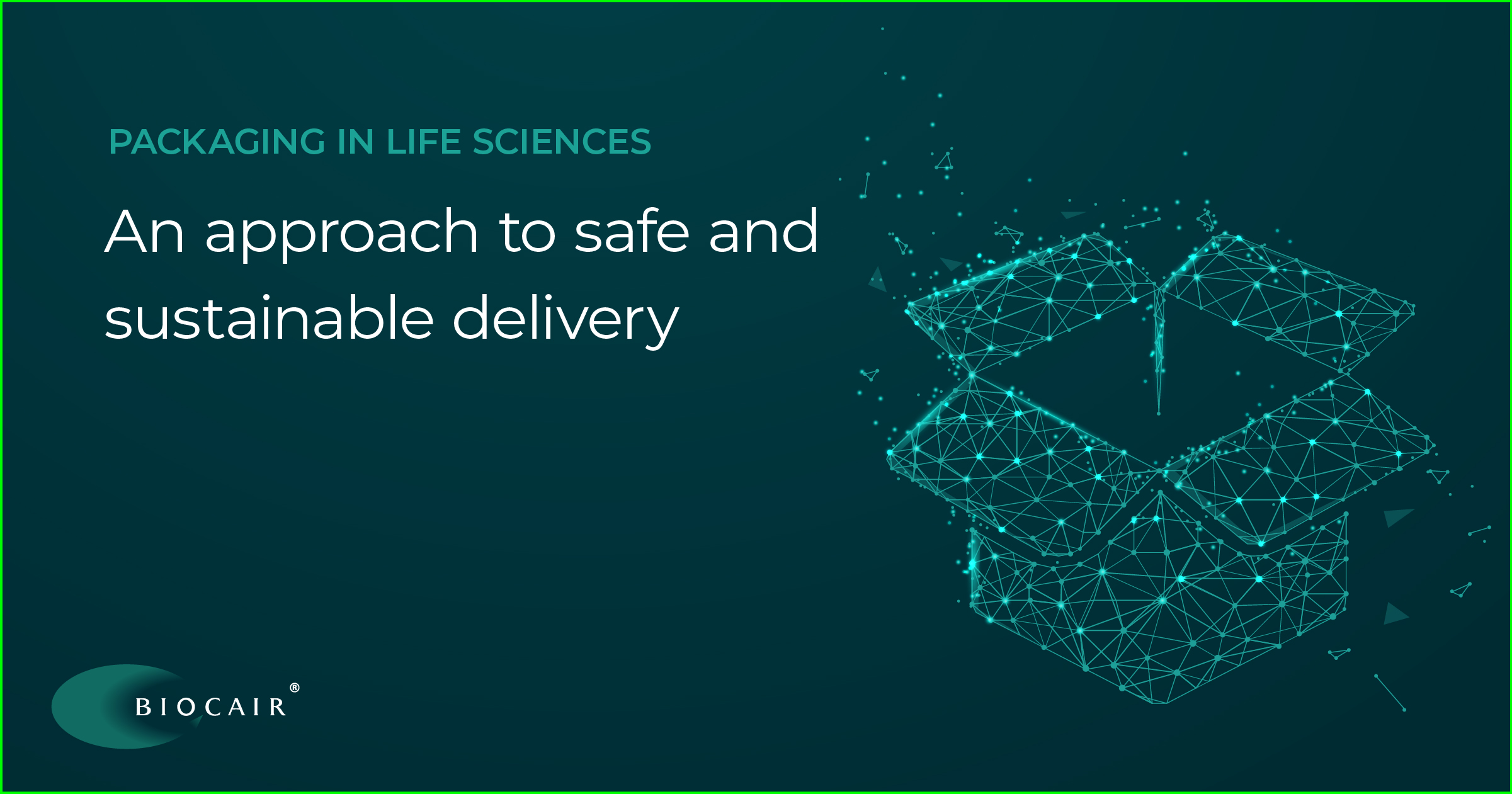 Packaging: Biocair's approach to safe and sustainable delivery